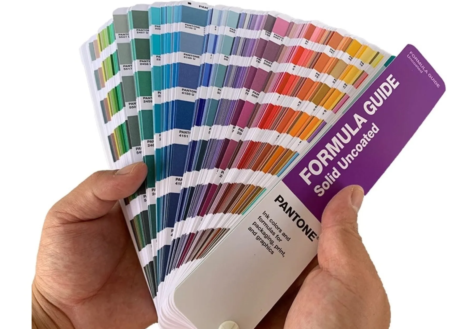 Discover Pantone: The Language of Color in Modern Design